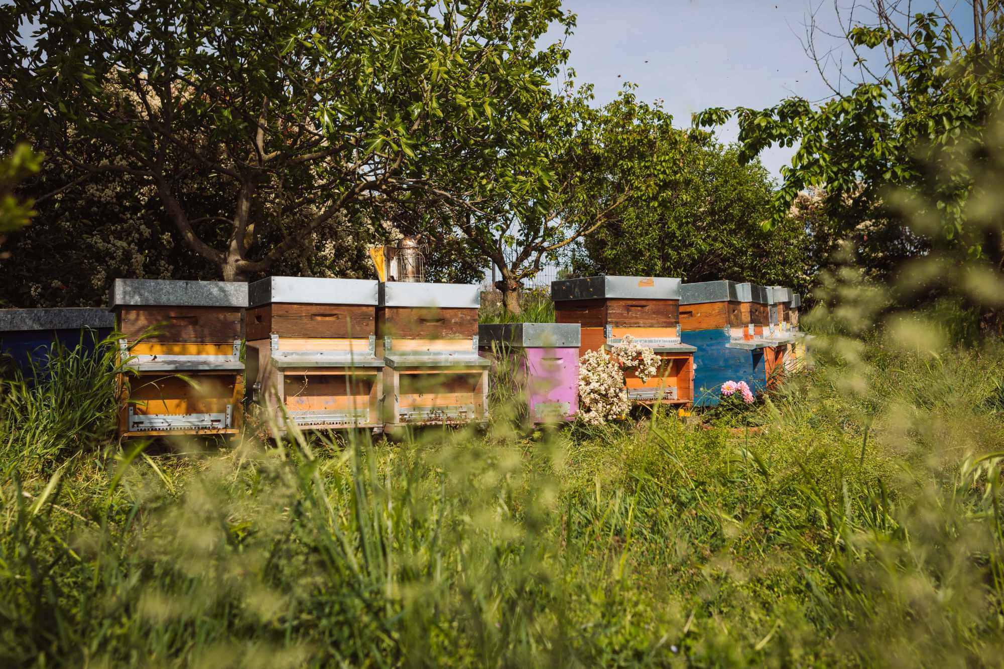 Regala un 3Bee alveare sostenibile