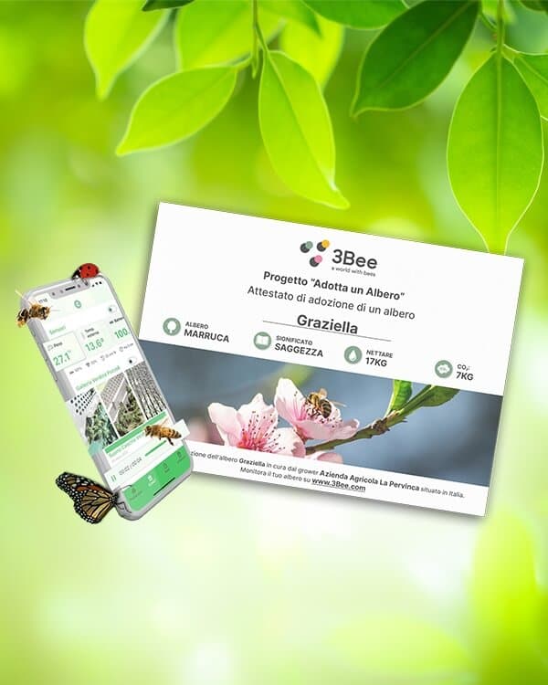 Regala un Albero nettarifero con 3Bee