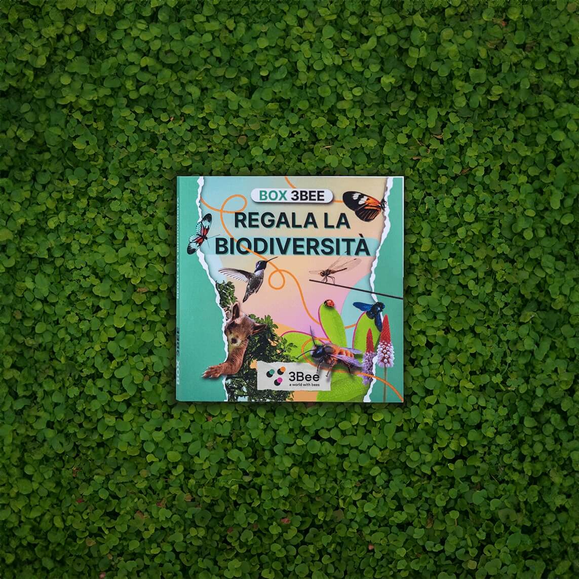 Regala un Albero nettarifero con 3Bee